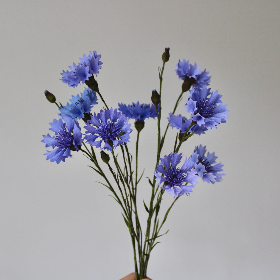 Paper flowers by Signe Scharling